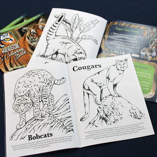 big cat rescue coloring pages